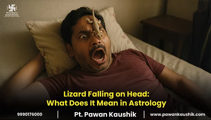 Lizard Falling on Head Meaning in Astrology